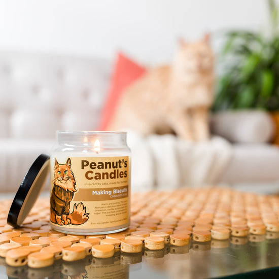 Candle Care – Peanut's Candles